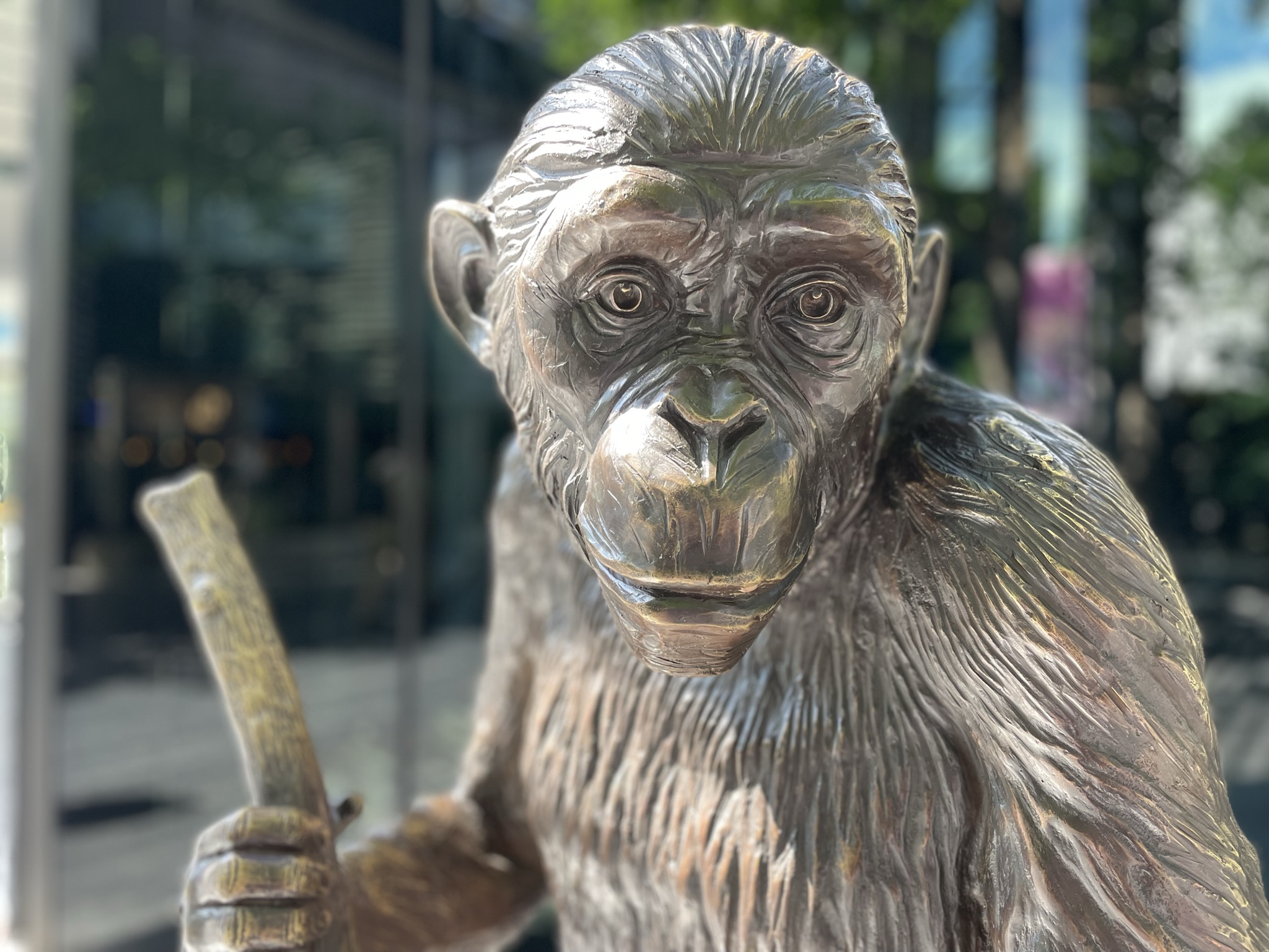 Chimpanzees in More London - London Guided Walks