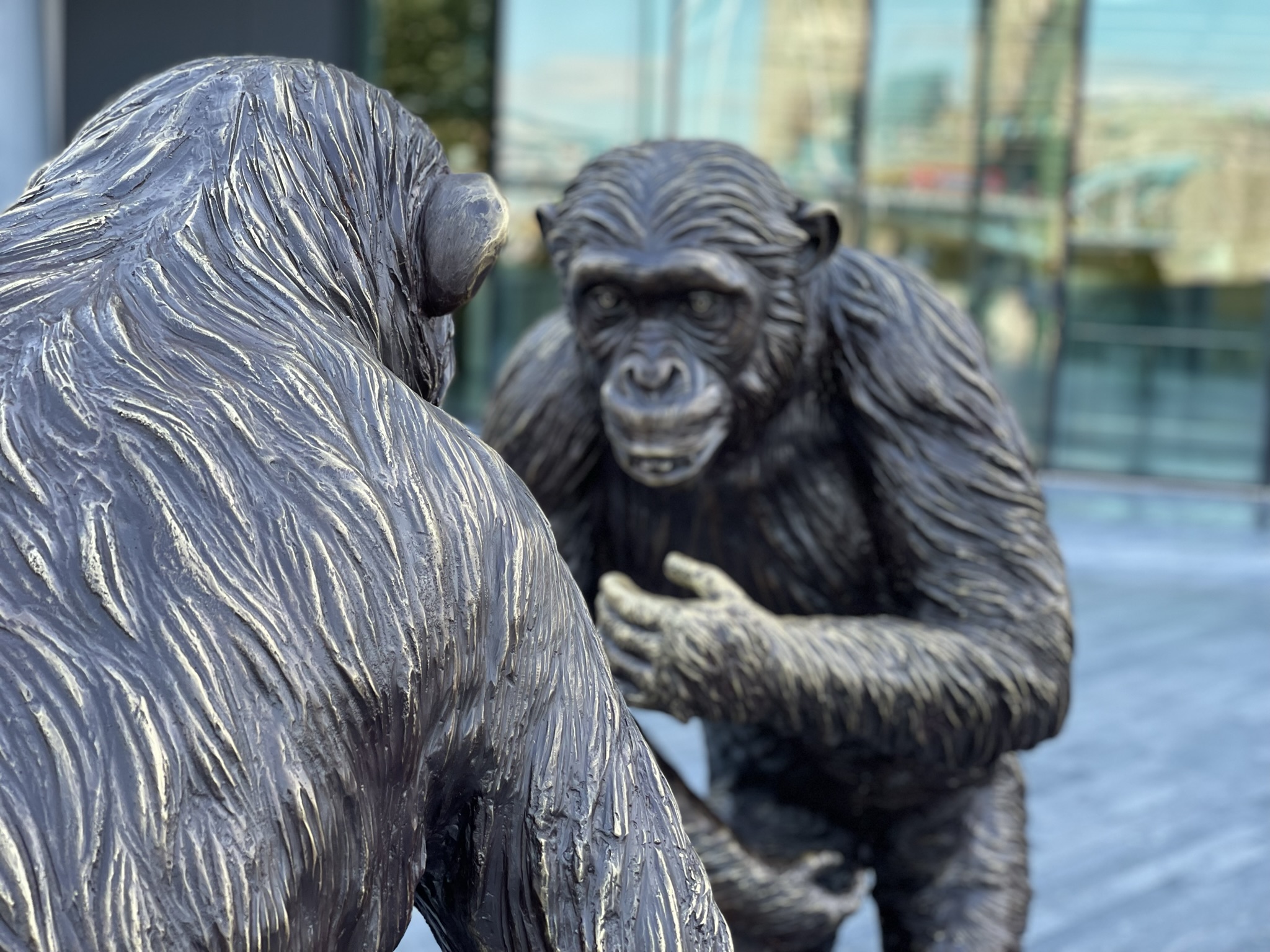 Chimpanzees in More London - London Guided Walks